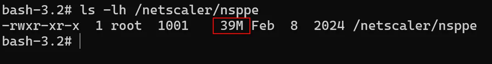 How Much More Must We Bleed? - Citrix NetScaler Memory Disclosure ...