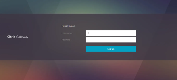How Much More Must We Bleed? - Citrix NetScaler Memory Disclosure ...